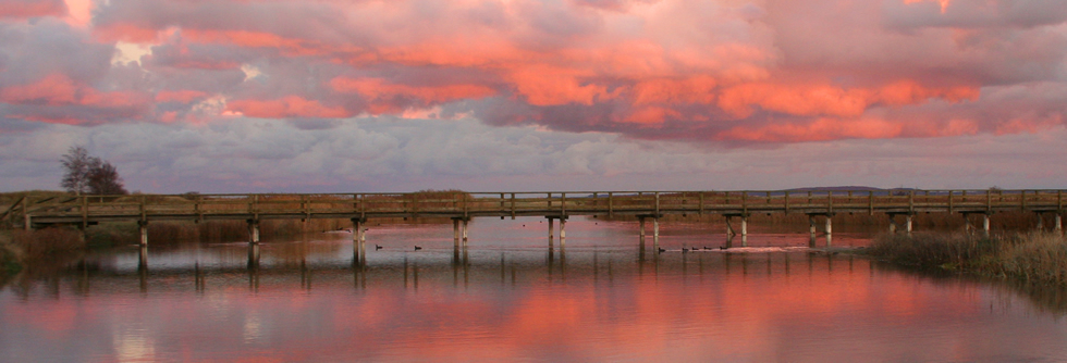 fsfsd - Sehlendorfer Strand